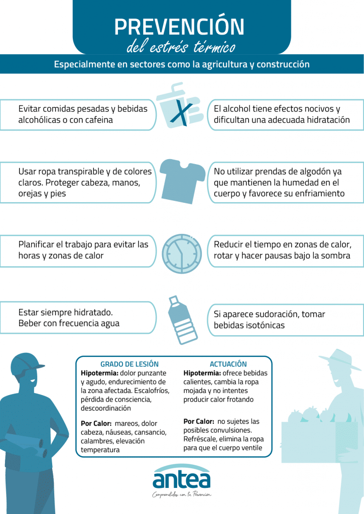 Estrés Térmico Prevención de Riesgos Laborales | PRL | Antea Prevención