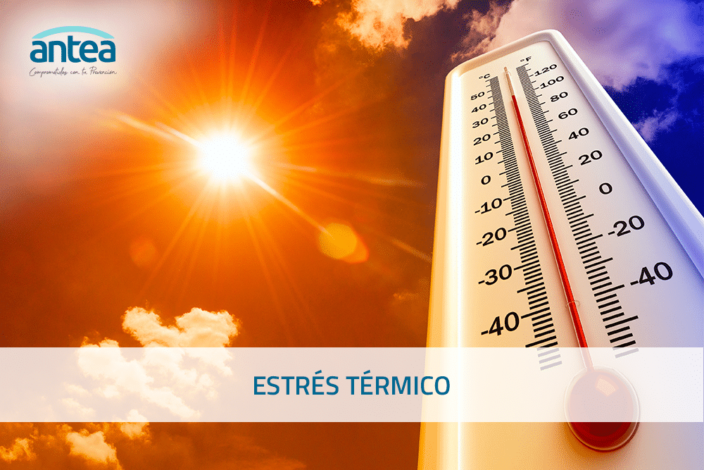 Estrés Térmico - Prevención de Riesgos Laborales | PRL | Antea Prevención Estrés Térmico - Prevención de Riesgos Laborales | PRL | Antea Prevención